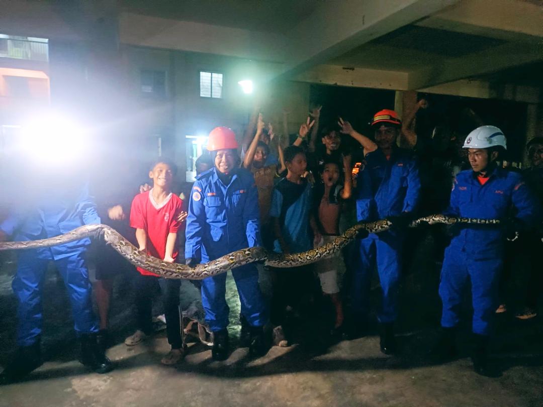 Four-metre-long python captured in PPR Taman Mesra | 亚洲时报 Asia Times